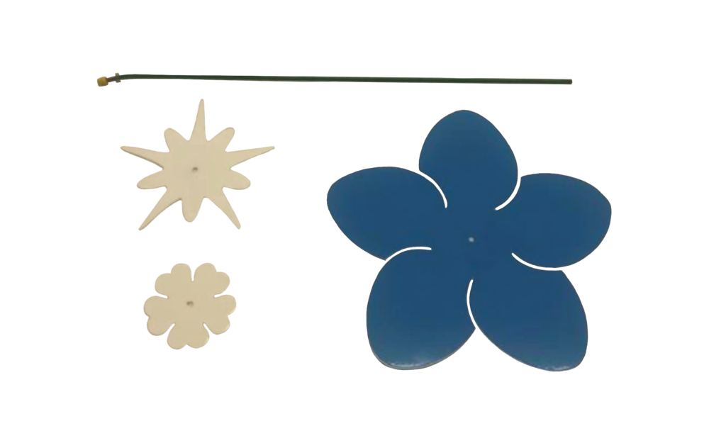 Everlasting Flower - Forget Me Not | Dougie Mac